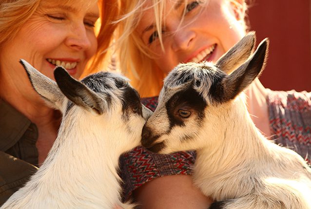 Meet Your Farmer: Chivas Goat Milk Soaps